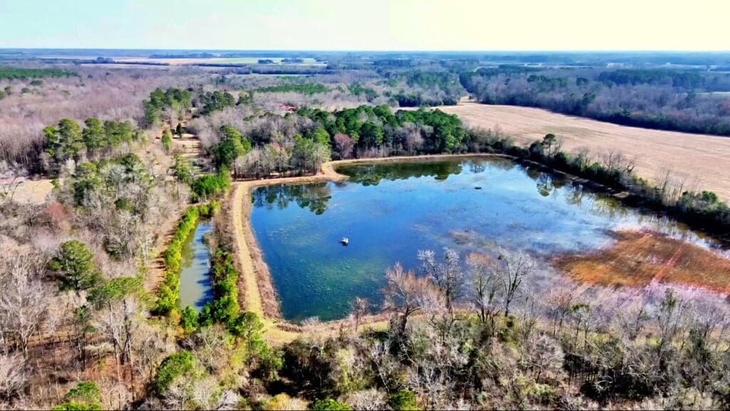 Bait Farm - Blue Wing Properties